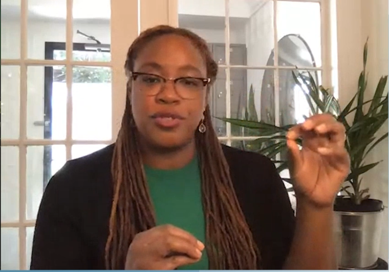 Heather McGhee Speaking Bio and Videos | The Lavin Agency Speakers Bureau